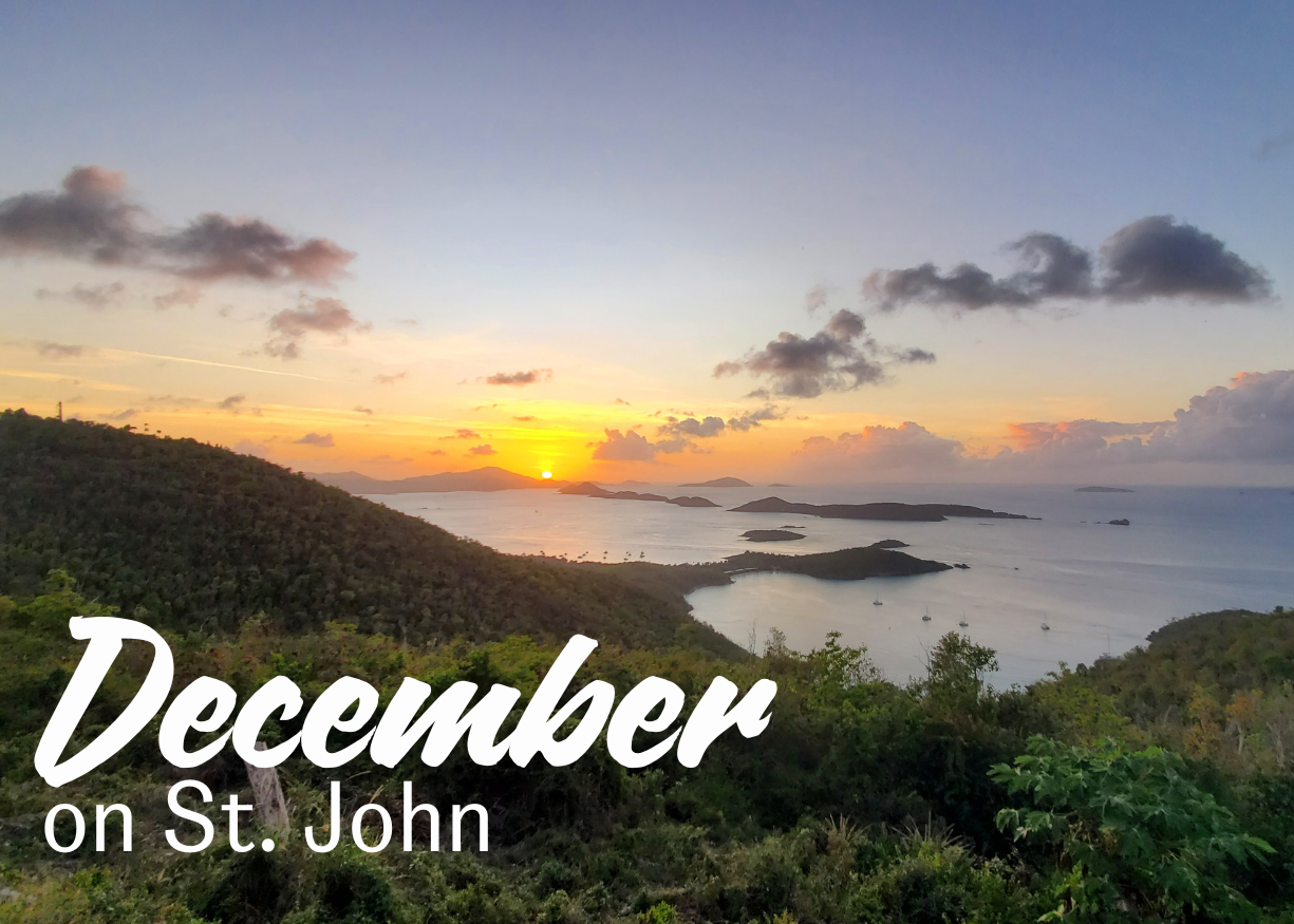 Live from Love City- December Events Calendar - Sailing Asante